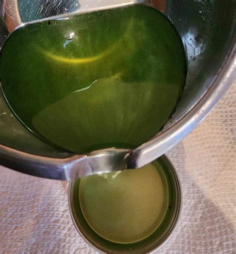 Catnip Salve Recipe Hawk Point Homestead