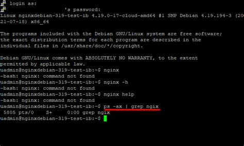 Usage Guidelines Ubuntu 2004 Lts With Nginx Web Server Virtual