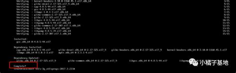 Linux命令行挂载u盘 墨天轮