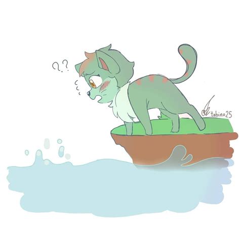 [tabino25] Cute Playful Otter And An Embarrassed Cat R Theowlhouse