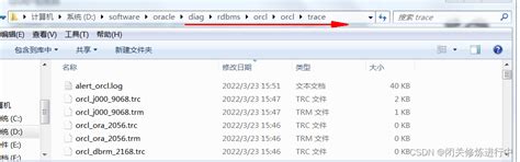 Oracle 物理和逻辑结构、sga和pga的作用和构成以及自动管理、默认的表空间的结构的特点insert Pga 什么时候用到 Csdn博客