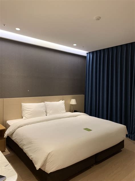 강릉 세인트존스 호텔 솔직후기 근처 식당 주차 애견 동반 호텔 비교 네이버 블로그