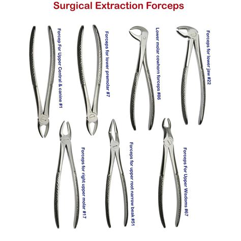 Dental Forceps Dental Surgical Instrument Names Of Dental Tooth