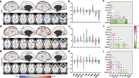 heritability and interindividual variability of regional structure