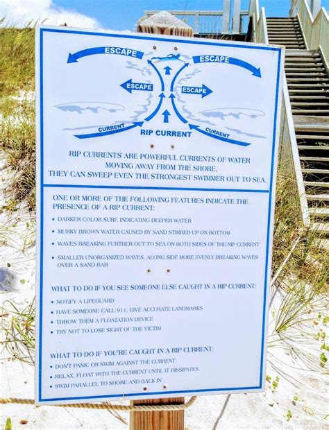 Beach Essentials For Staying Safe Beach Safety Beach Beach Signs