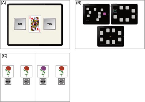 A Cogstate One Back Tests Copyright© 2020 Cogstate All Rights