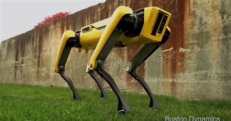 Watch This Creepy Robo Dog And Try Not To Fear The Robot Apocalypse