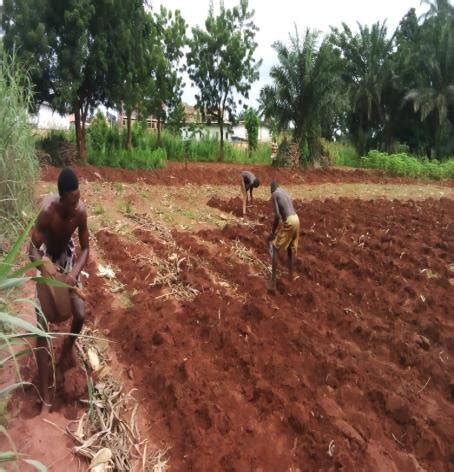 Manual Farming Operations Download Scientific Diagram