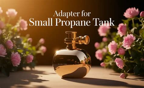Best Adapter For Small Propane Tank Top Picks Poweruptips