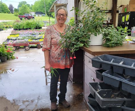 Martens Jerri Phillips Sullivan Picked Out A Huge Fushia Basket For