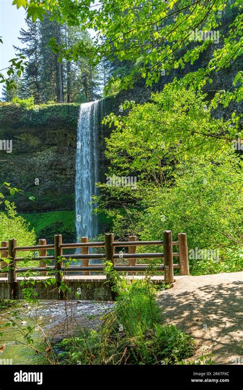 A Veiw Of A Walking Bridge And South Falls At Silver Falls State Park