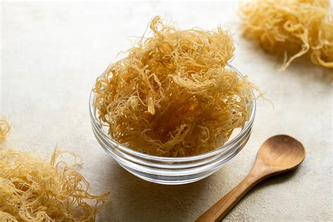 Is Sea Moss Good For You Here Is What To Know Banner