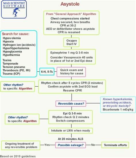 Acls Algorithms Artofit