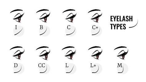 Lash Artist S Guide What Curl To Use For Lash Extensions