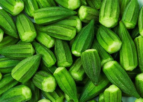 10 Natural Diuretics For Dogs Foods Herbs And Others
