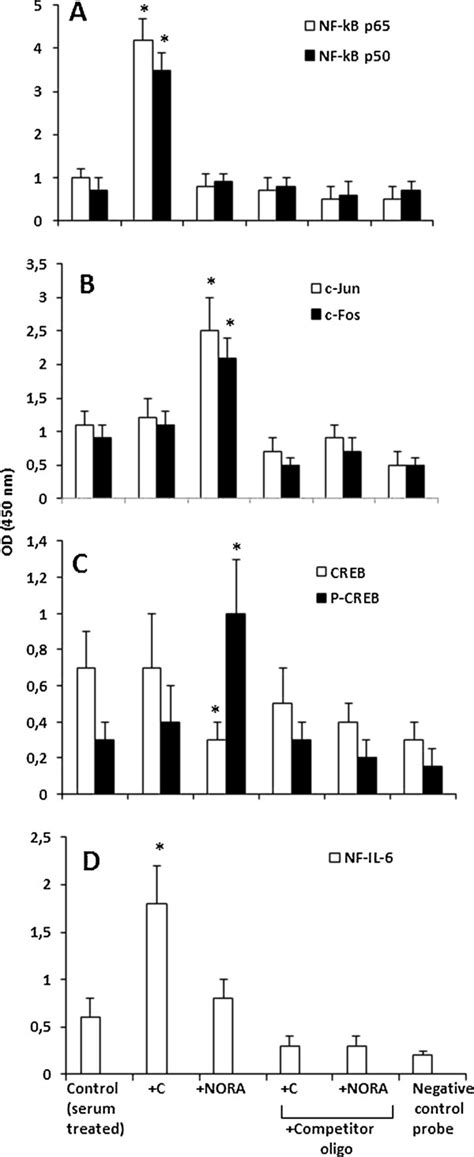 Nf κb Creb Ap 1 And Nf Il 6 Dna Binding Activity In Nuclear Extracts