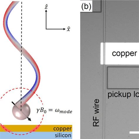 A Schematic Of The Measurement Setup An Rf Wire Is Used To Generate