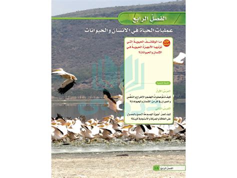 حل كتاب الطالب علوم سادس ابتدائي الفصل الاول الوحدة الرابعة العلوم