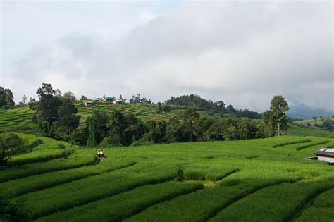 매 Chaem Chaing Mai에서에서 금지 Pa 테이블 Pieng에서 태국에 테라스에 아름 다운 녹색 쌀 필드 0명에 대한 스톡 사진 및 기타 이미지 Istock