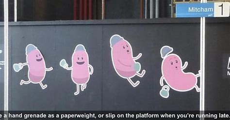 Rmelbourne Imgur Rmelbourne Imgur