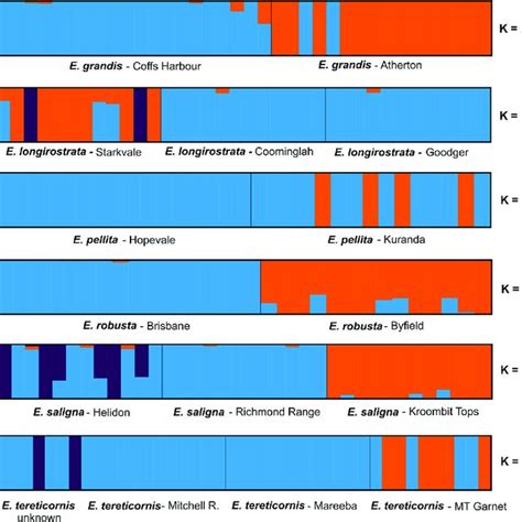 Population Structure Analysis Of Each Eucalyptus Species Separately For Download Scientific