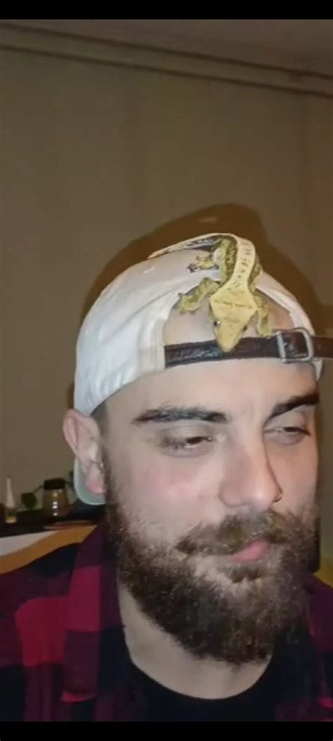 Bleeding Reflex R Reptiles