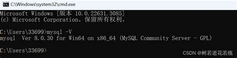 mysql8 0 30从安装到配置保姆级别教程 mysql8 30安装 csdn博客
