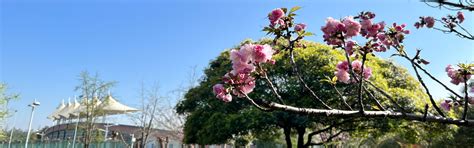 大气科学（3s集成与气象应用） 资源环境学院网站