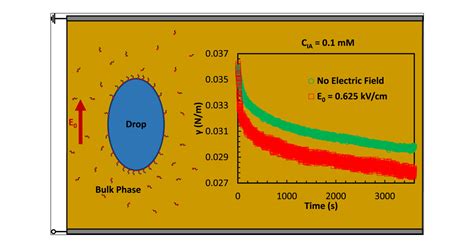 Experimental Evidence Of Enhanced Adsorption Dynamics At Liquidliquid Interfaces Under An
