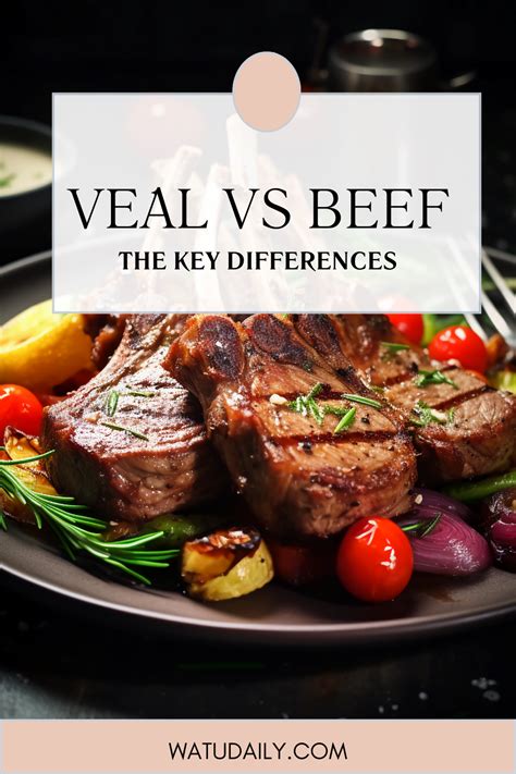 What Is The Difference Between Veal Vs Beef