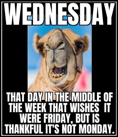 Just Dragging Trough The Week R Englishforlearning