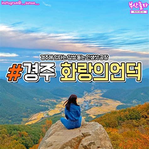 부산 놀자 요즘 경주여행필수코스라는 감성 돋는 인생샷 공장~ 경주 화랑의언덕 분위기 실화 인생샷