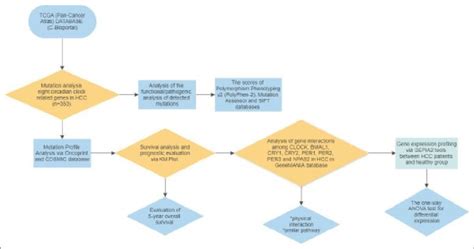 Flowchart Of The Experimental Design Download Scientific Diagram