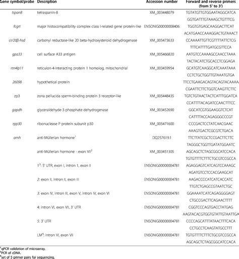 Primers For Gene Expression Validation With Qpcr And Amh Pcr And