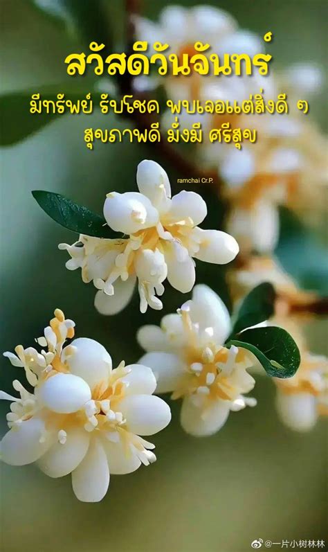 ปักพินโดย Pang ใน Quick Saves สุขสันต์วันจันทร์ สวัสดีตอนเช้า ขอบคุณการ์ด