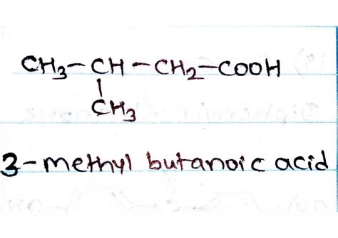 3 Methyl Butanoic Acid Pdf