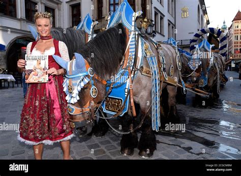 München Deutschland September 2020 Wiesn Playmate Natascha Hofmann