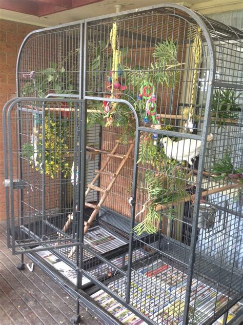 Parrot Cage Ideas At Kiara Cann Blog