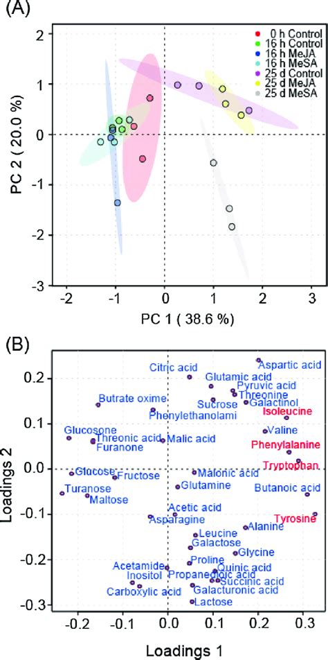 Principal Component Analysis Pca And Loading Plot Of The Metabolites