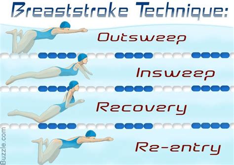 Breaststroke Swimming