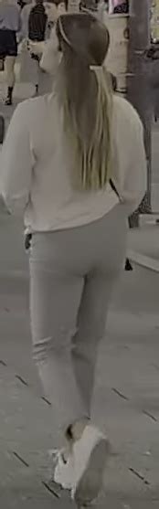 Fitcheck Classification Dataset And Pre Trained Model By Test