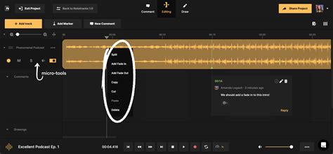 how to use an audio collaboration tool notetracks audio review and