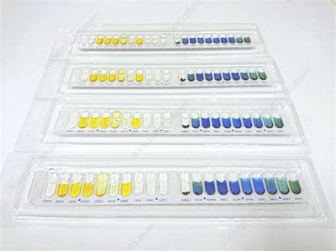 Bacteria Identification Kits Stock Image F032 3278 Science Photo