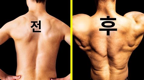 빠르게 등을 더 넓힐 수 있는 쉬운 5가지 운동 Youtube