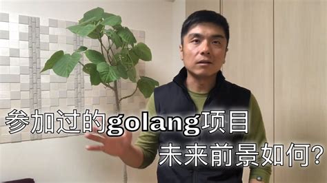 分享一下我在日本互联网公司参加的golang项目未来golang工程师前景如何能赚多少钱 YouTube