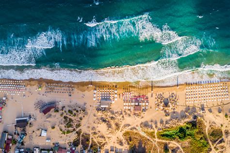 붐비는 해변 우산 바의 아름다운 공중 탑 뷰와 여름 모래에 사람들 경관에 대한 스톡 사진 및 기타 이미지 경관 공중 뷰 군중 Istock