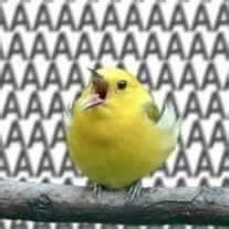 Mantis X Nekotoro S Plaything Animation Test A Test Baraag Net