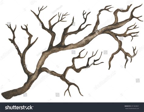 부러진 나뭇가지 1 349개가 넘는 로열티 프리 라이선스 대상 스톡 일러스트 및 그림 Shutterstock