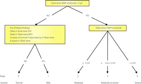 Babas Classification A Diagnostic And Staging Algorithm For Diabetic Download Scientific