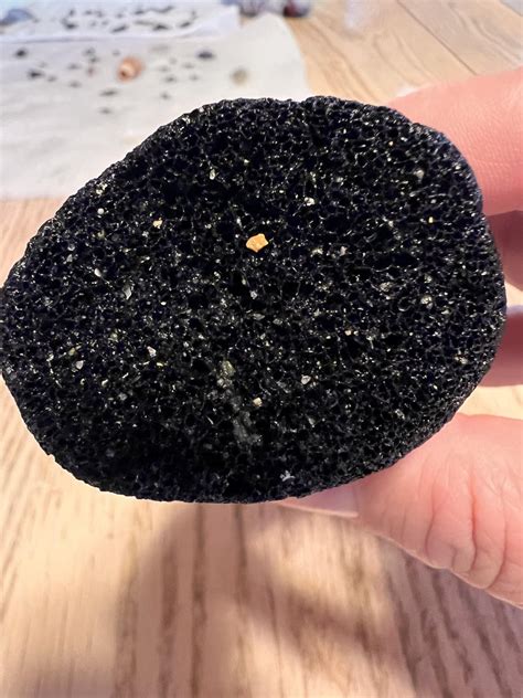 Did I Find A Fossilized Bone R Fossilid